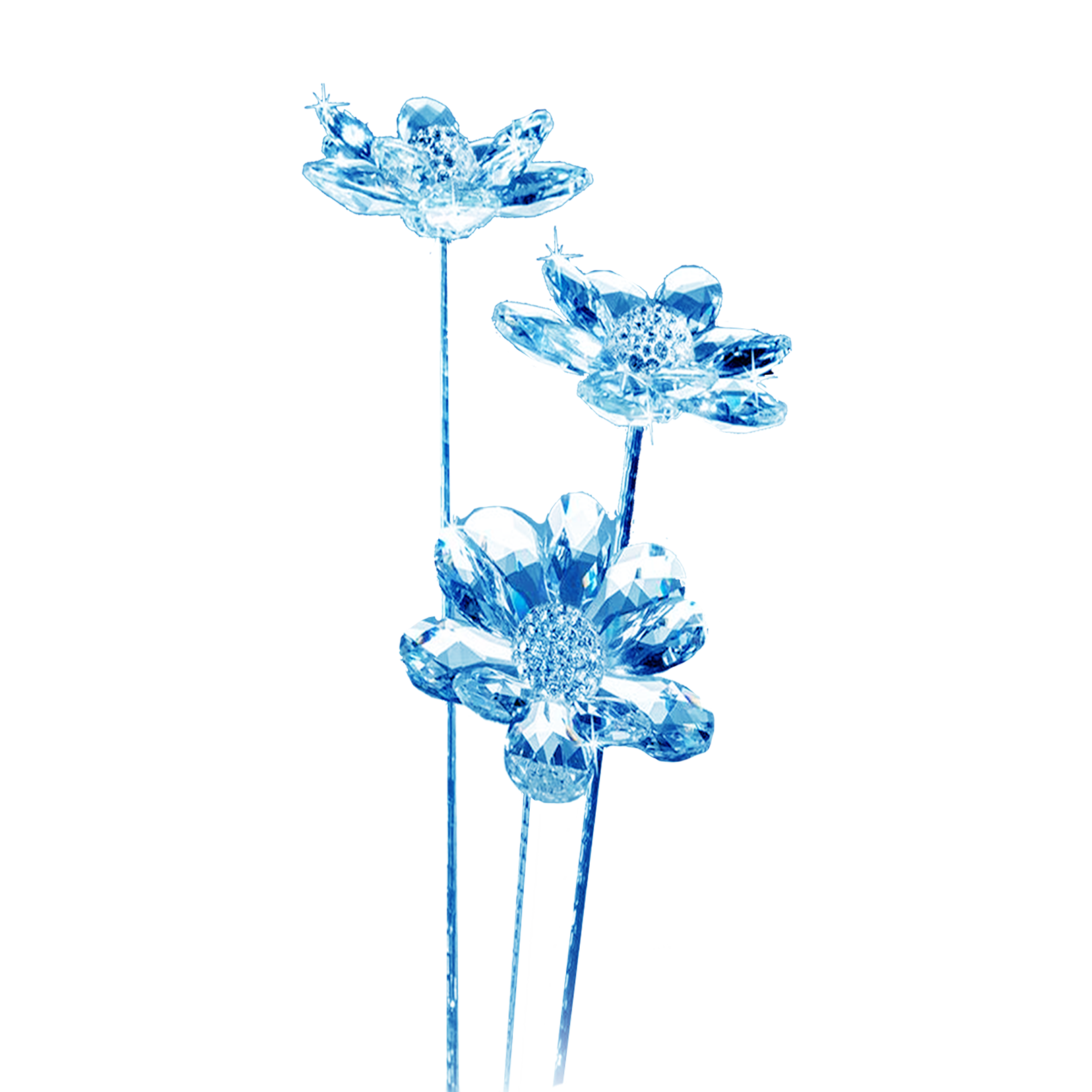 flowers | Cartoons On The Bay